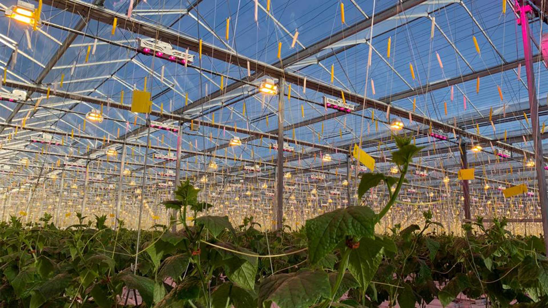 MechaTronix – Eight Lakes group